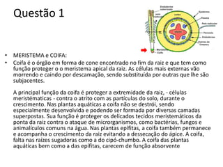 Ctrl aula 2 gabarito avaliação de nivelamento e revisão de anatomia ...