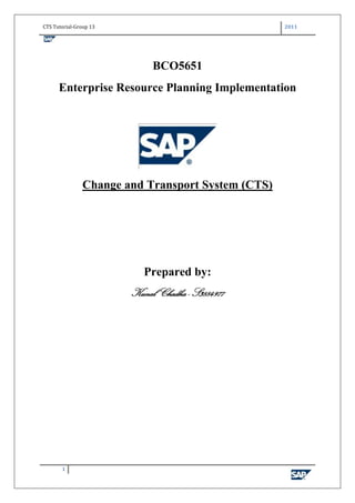 Change and Transport System (CTS) in SAP | DOCX
