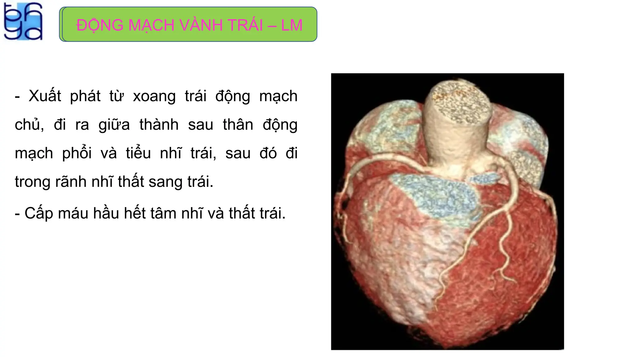 CHUP CAT LOP VI TINH DONG MACH VANH.pptx