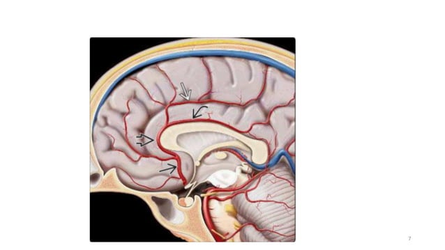Ct scan dot quy dinh huong 2019 | PDF