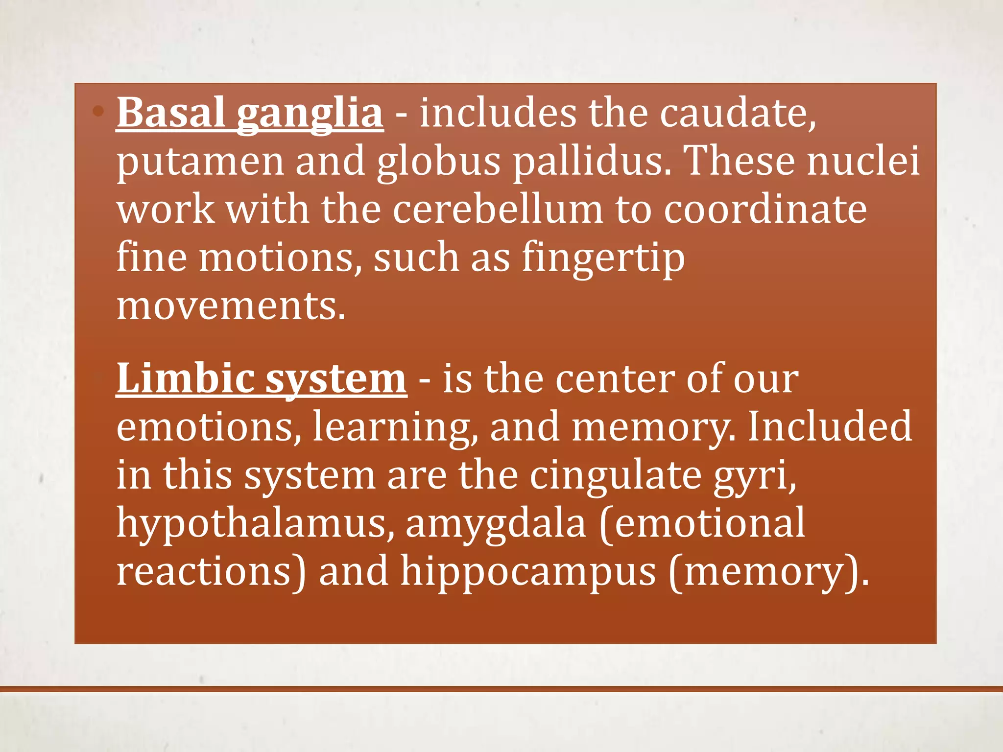 BRAIN CT SCAN | PPTX