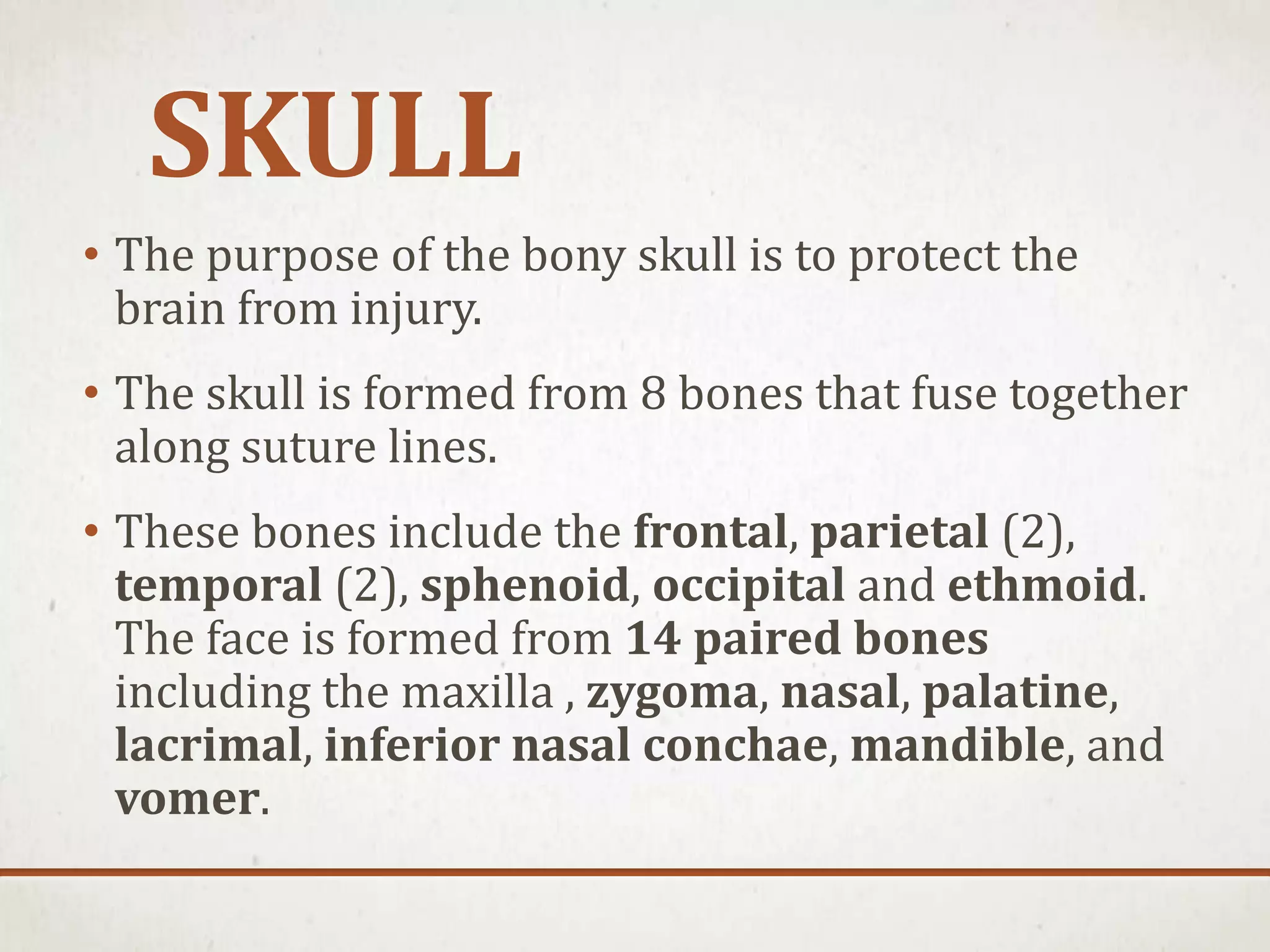 BRAIN CT SCAN | PPTX