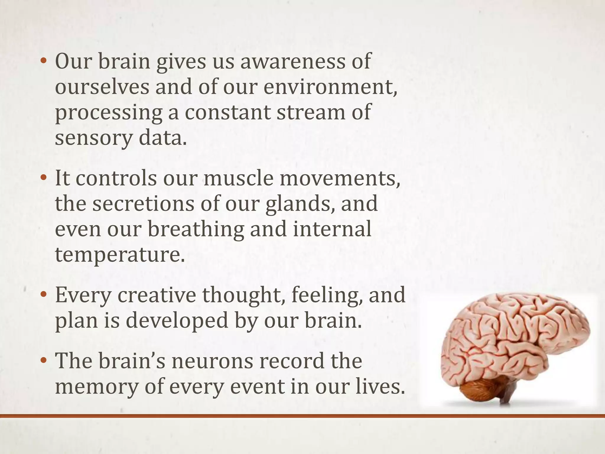 BRAIN CT SCAN | PPTX