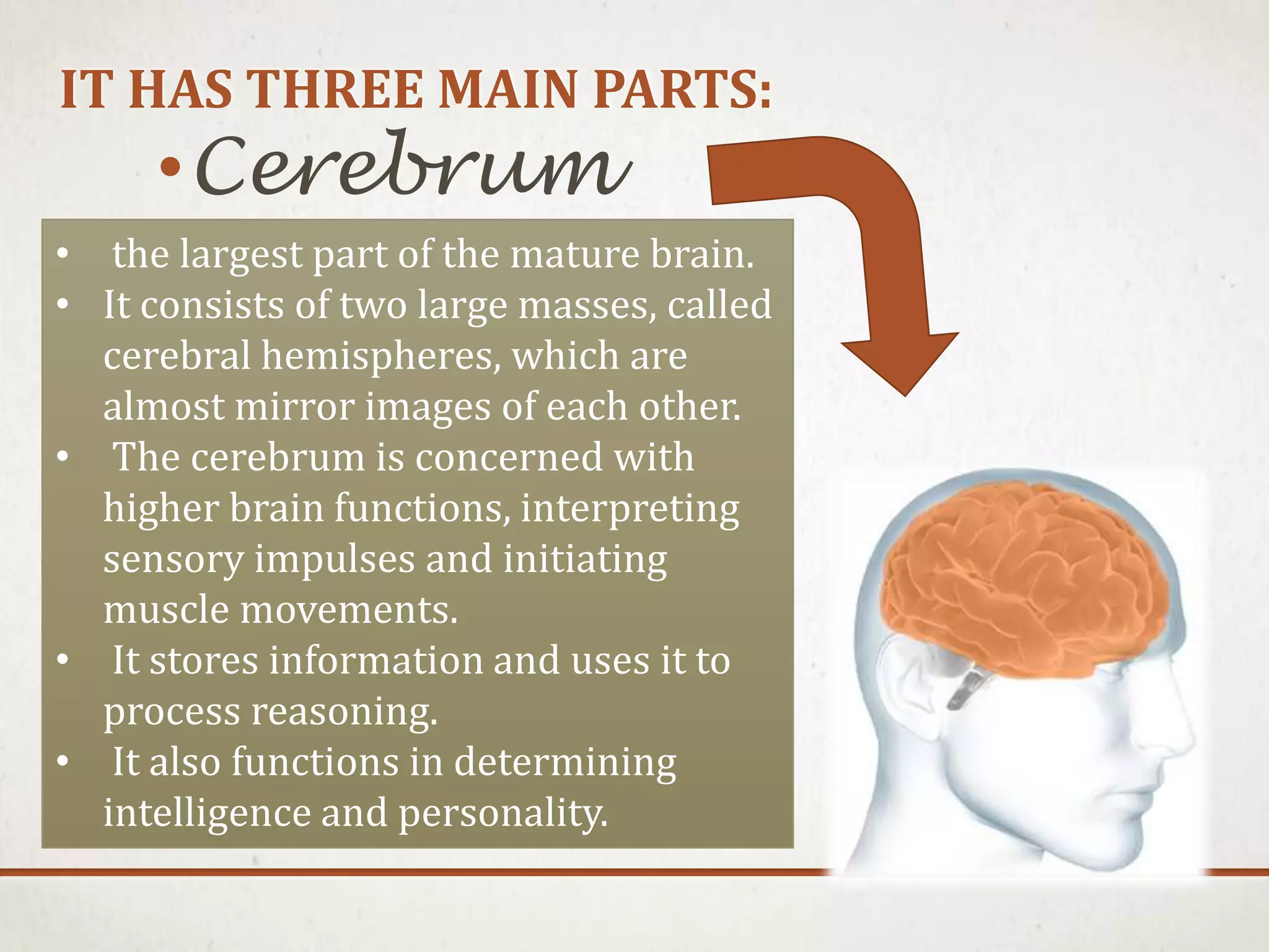 BRAIN CT SCAN | PPTX