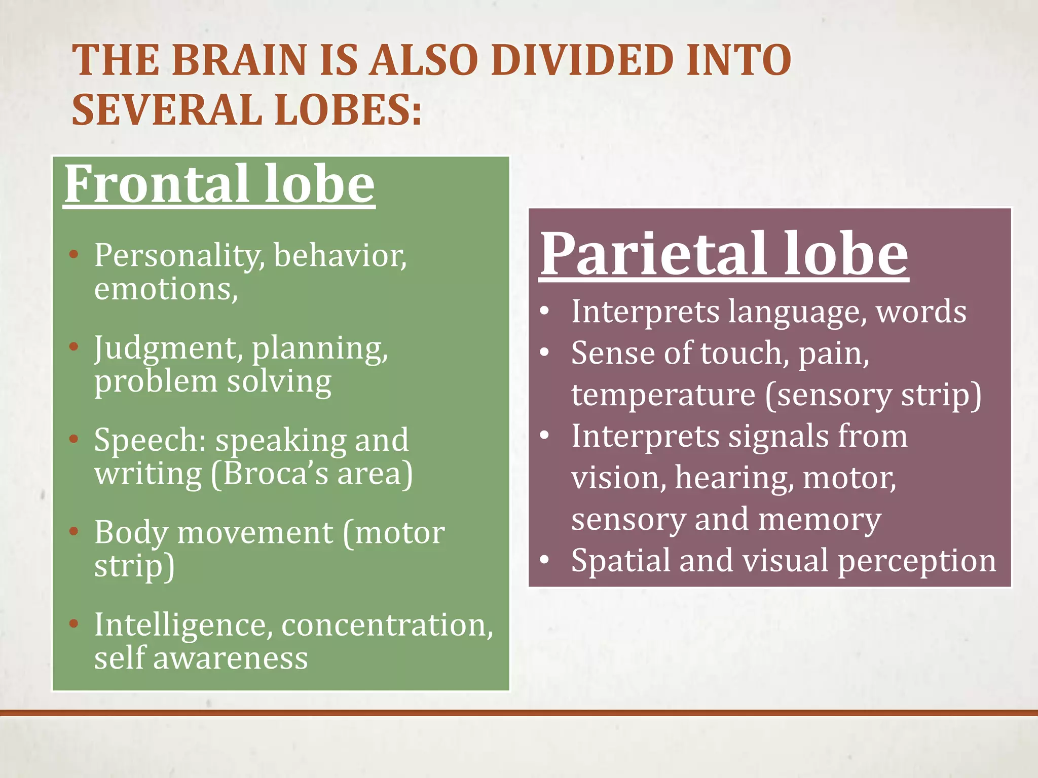 BRAIN CT SCAN | PPTX