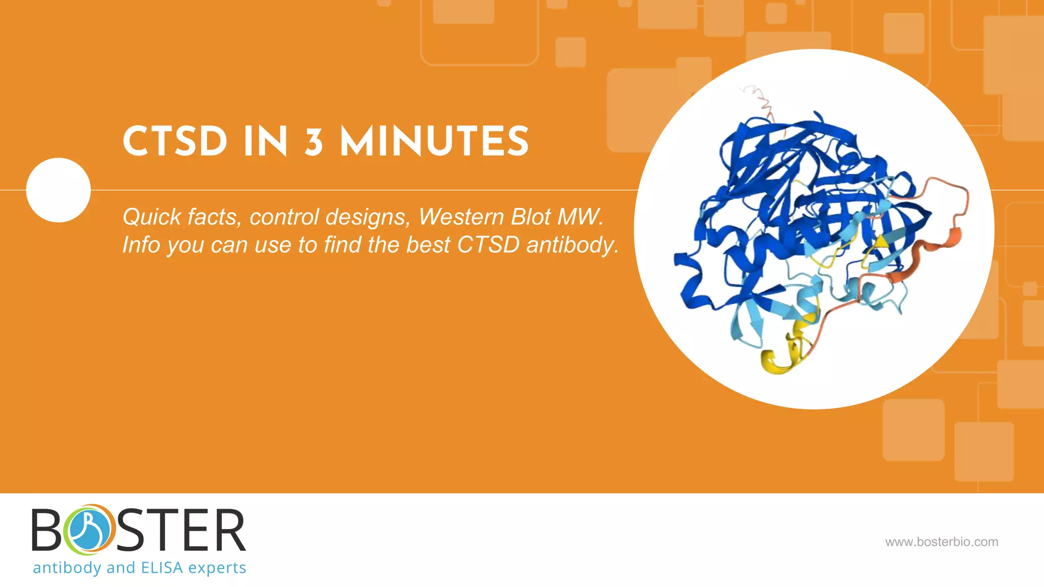 Learn CTSD in 3 minutes | Cathepsin D | PPT