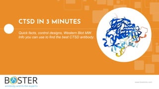 Learn CTSD in 3 minutes | Cathepsin D | PPT
