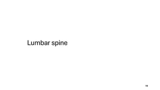 radiological anatomy of the spine S3 applied medical science | PDF
