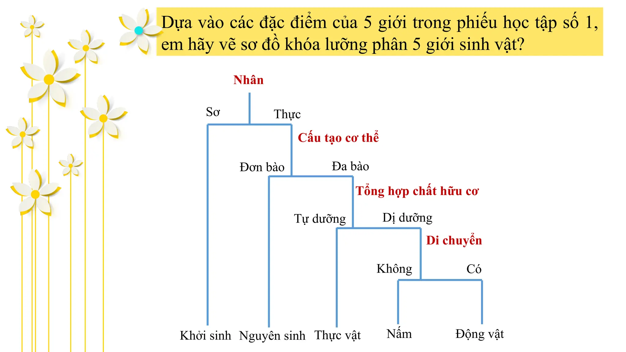 CTST_CD8_BAI 23_TH XAY DUNG KHOA LUONG PHAN - Repaired.pptx