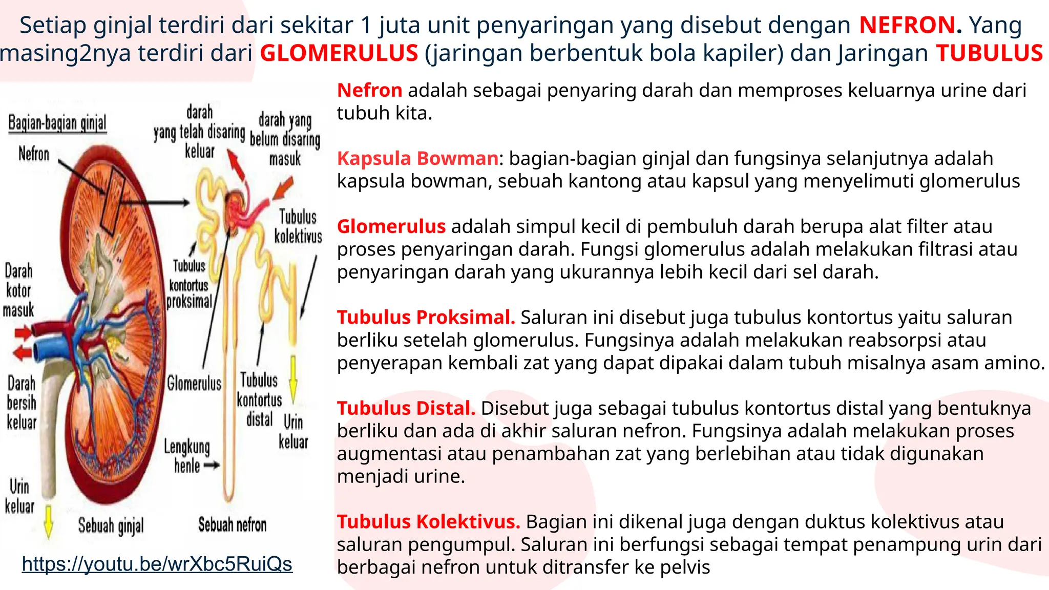 PENYAKIT_GINJAL_DAN_REPRODUKSI_AKIBAT_KERJA.pptx