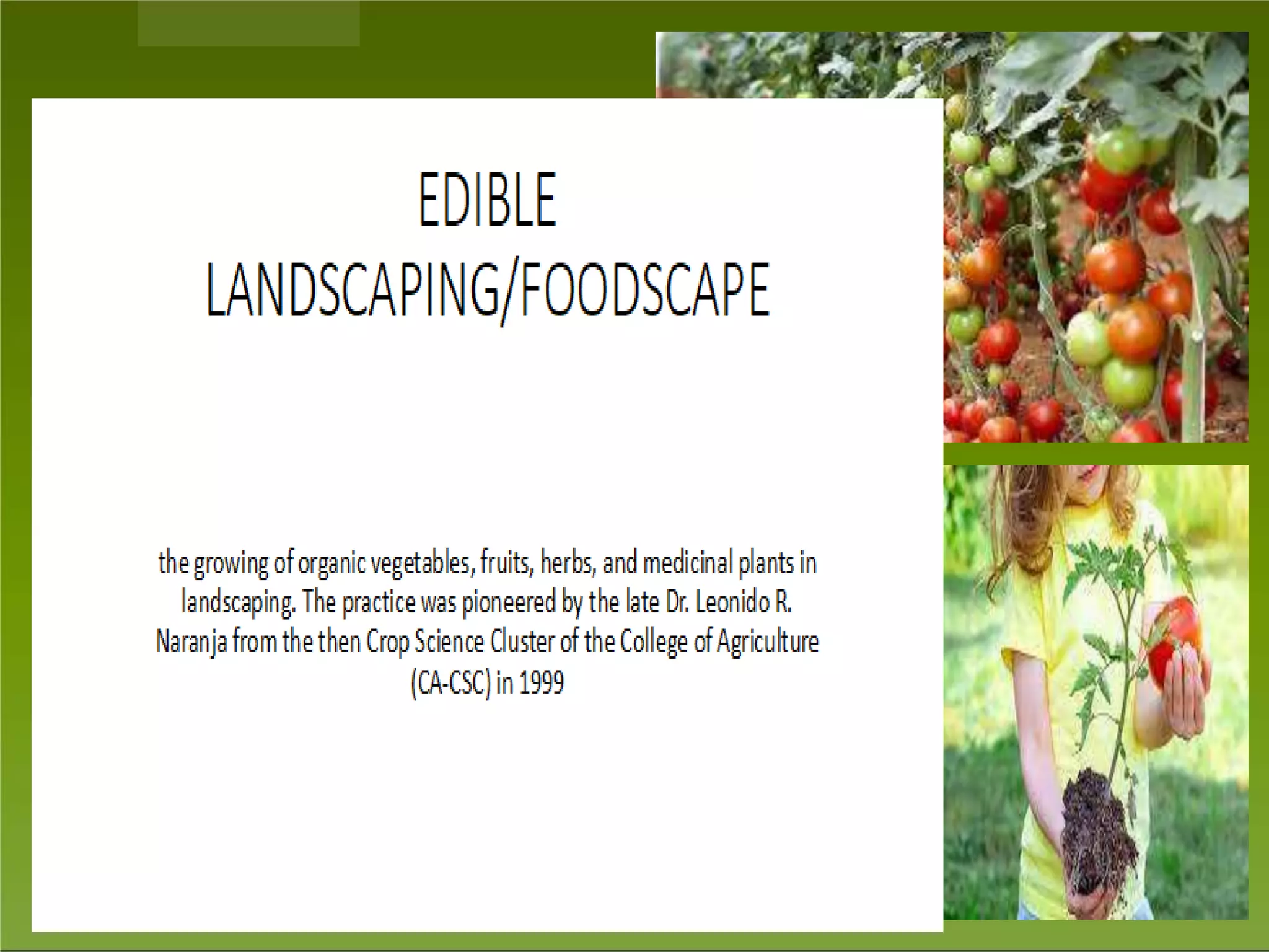 EDIBLE_LANDSCAPING_FOOD_SCAPE.pptx
