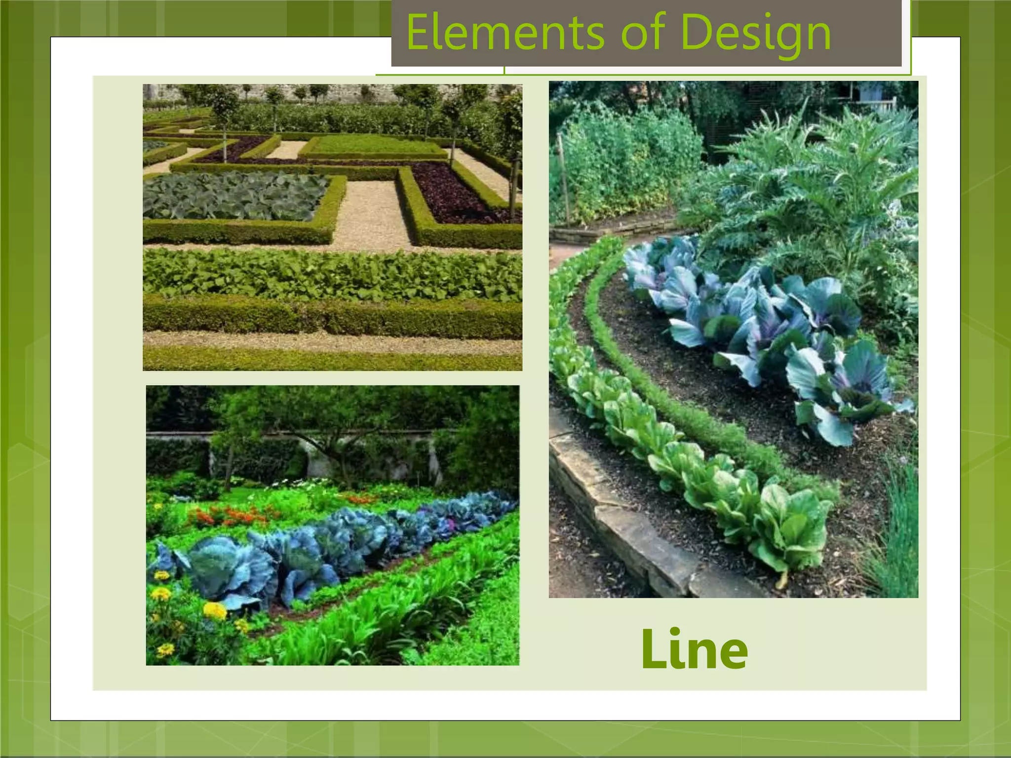 EDIBLE_LANDSCAPING_FOOD_SCAPE.pptx