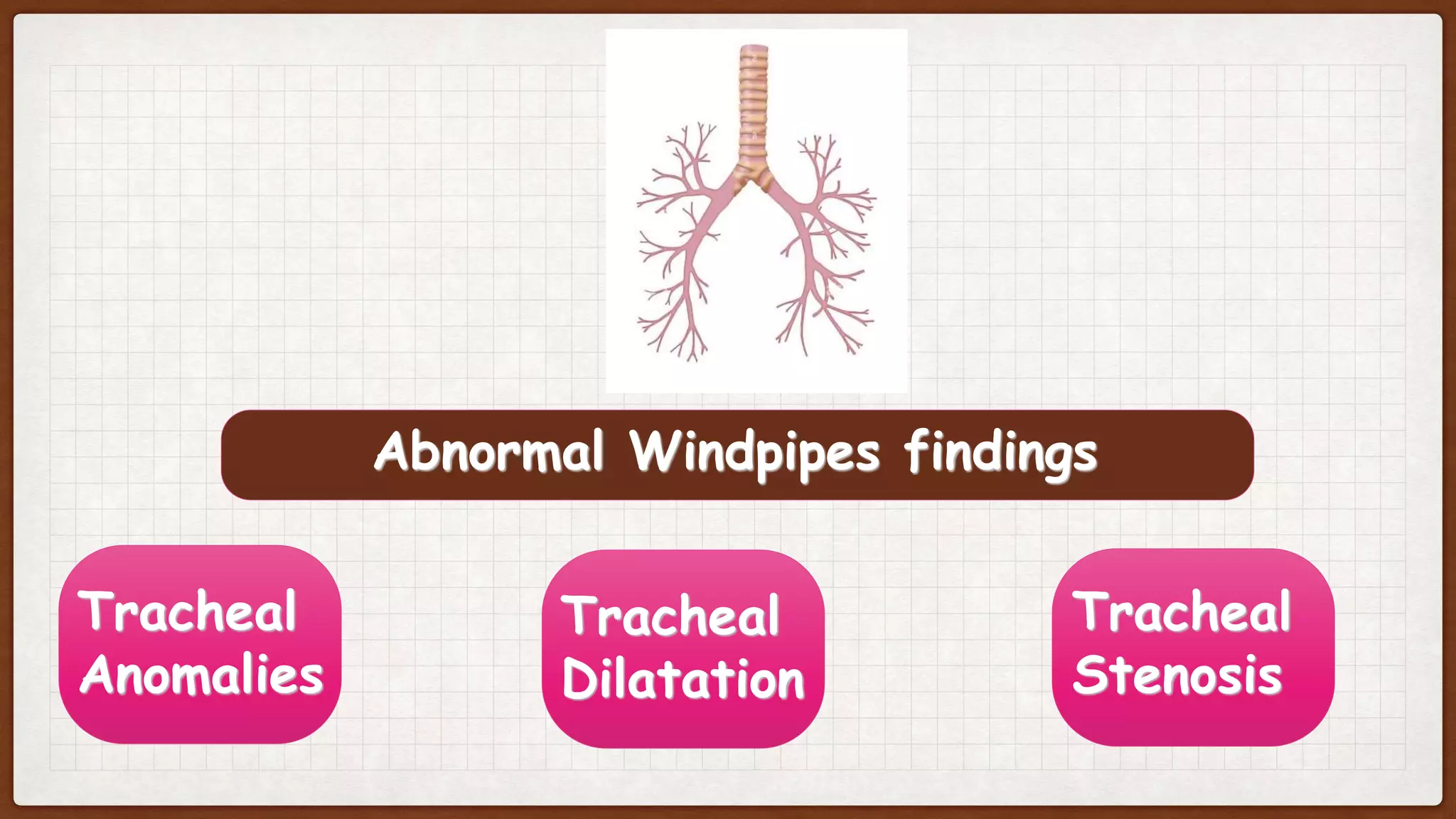Looking at the windpipe in CT chest (dr eid elagamy).pptx | Lung and ...