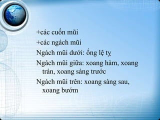 Ct xoang hd | PPT