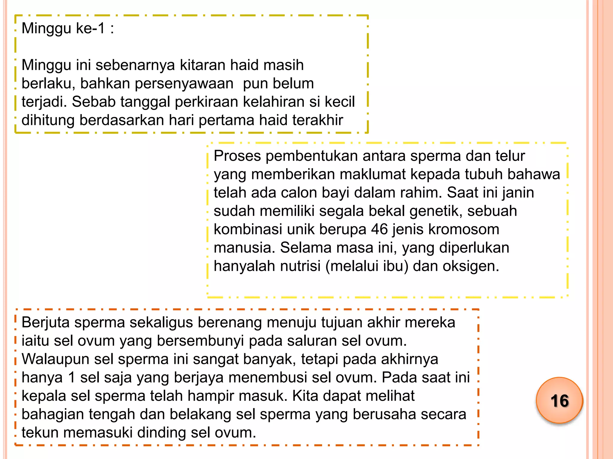 Proses Kehamilan & Perkembangan Janin, Bayi dan Kanak-kanak | PPTX