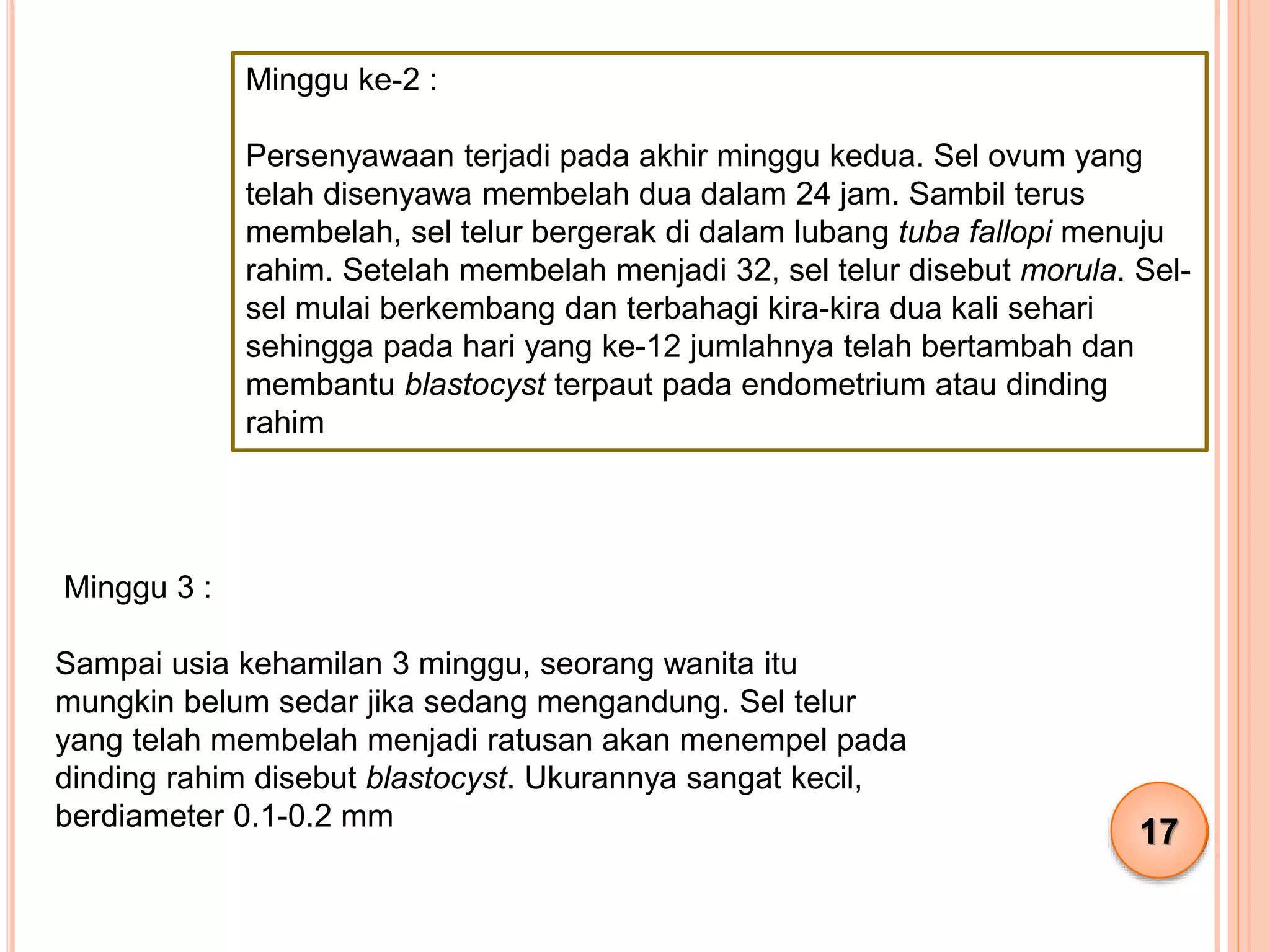 Proses Kehamilan & Perkembangan Janin, Bayi dan Kanak-kanak | PPTX