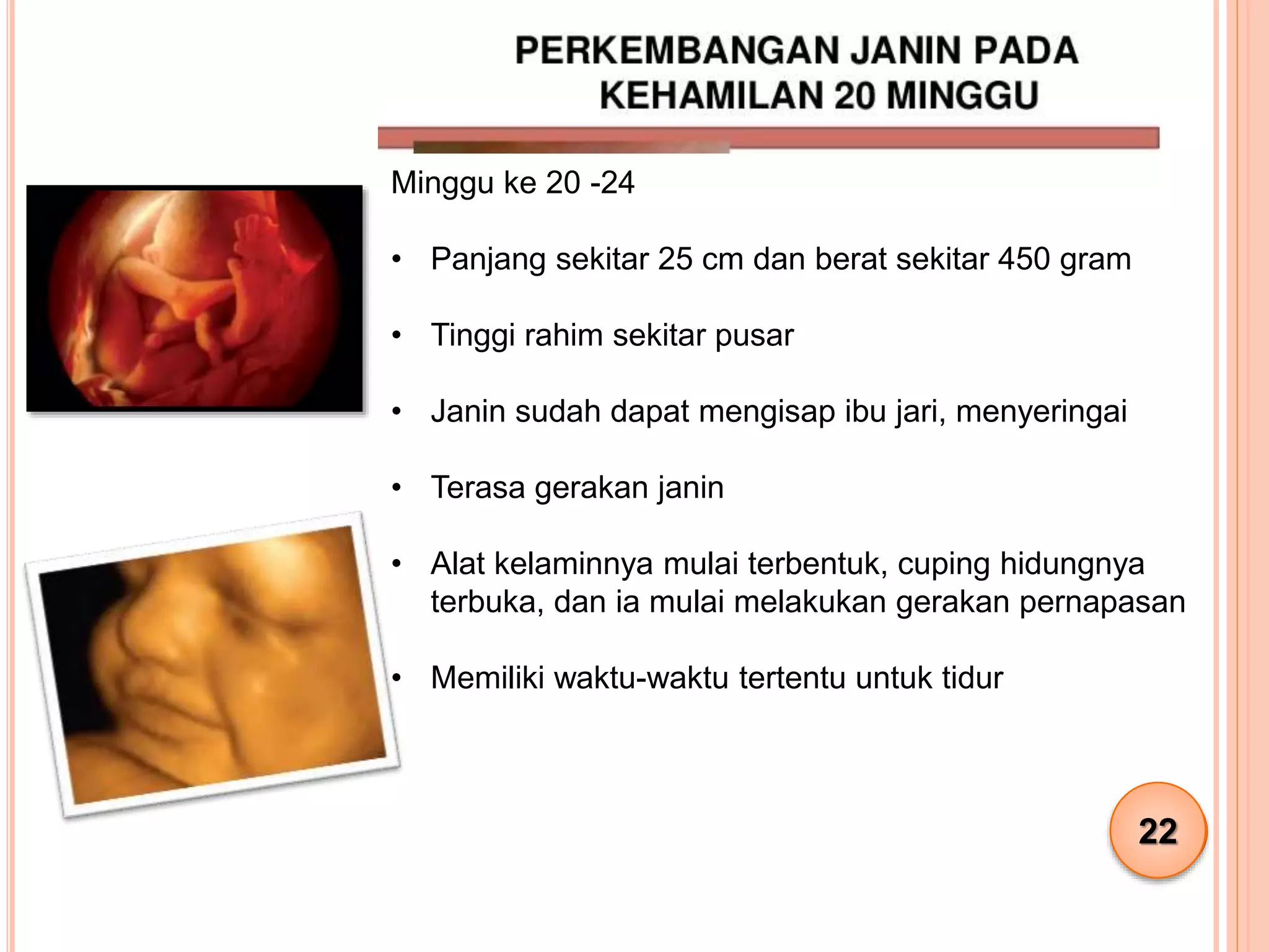 Proses Kehamilan & Perkembangan Janin, Bayi dan Kanak-kanak | PPTX