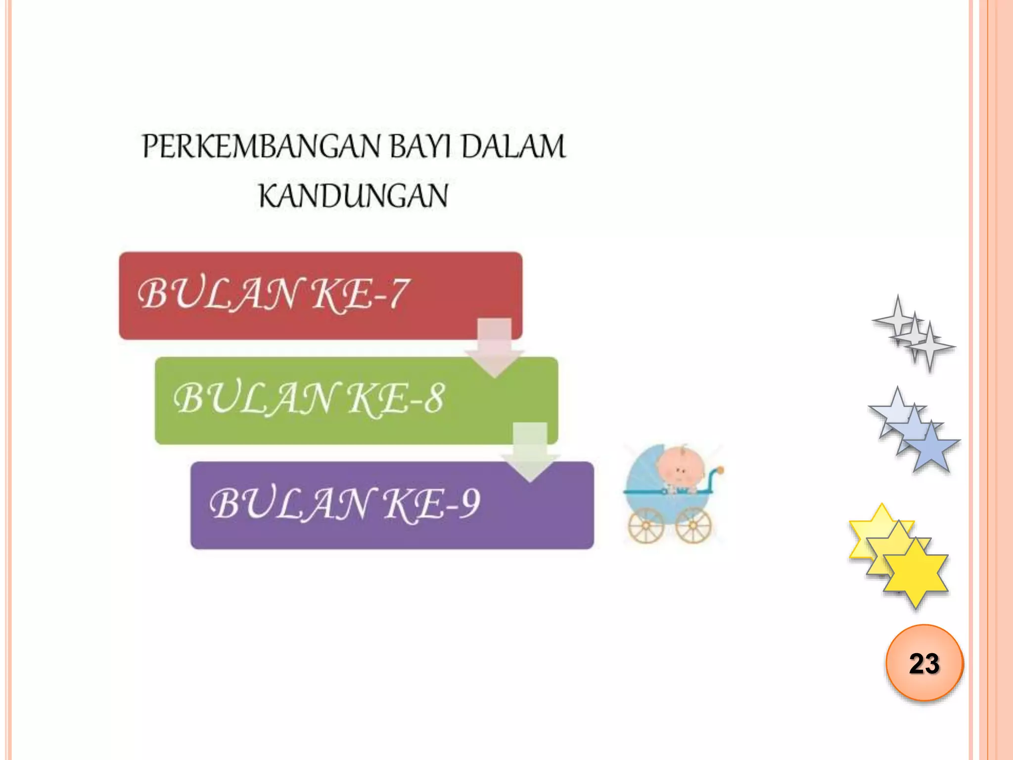 Proses Kehamilan & Perkembangan Janin, Bayi dan Kanak-kanak | PPTX