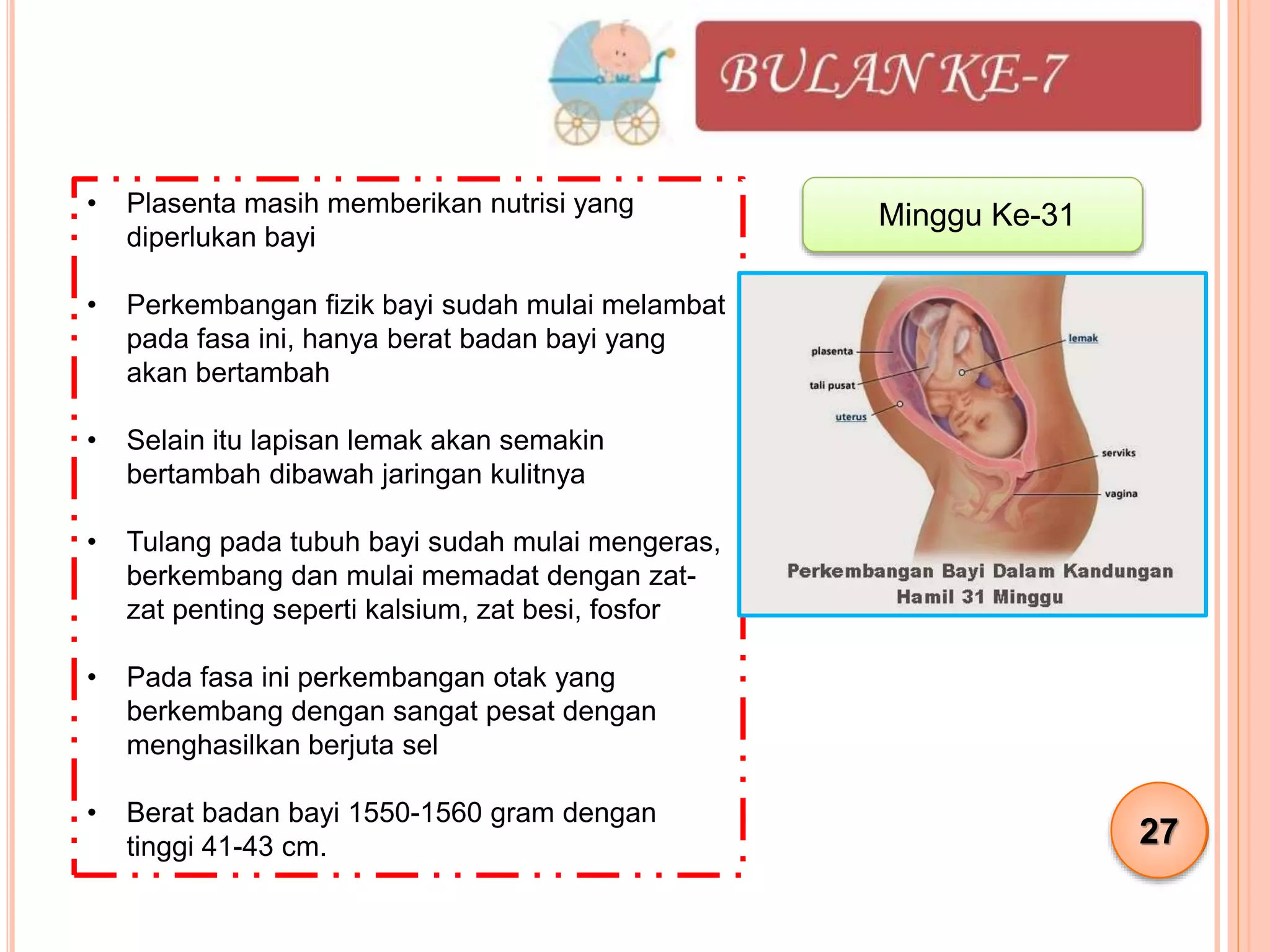 Proses Kehamilan & Perkembangan Janin, Bayi dan Kanak-kanak | PPTX