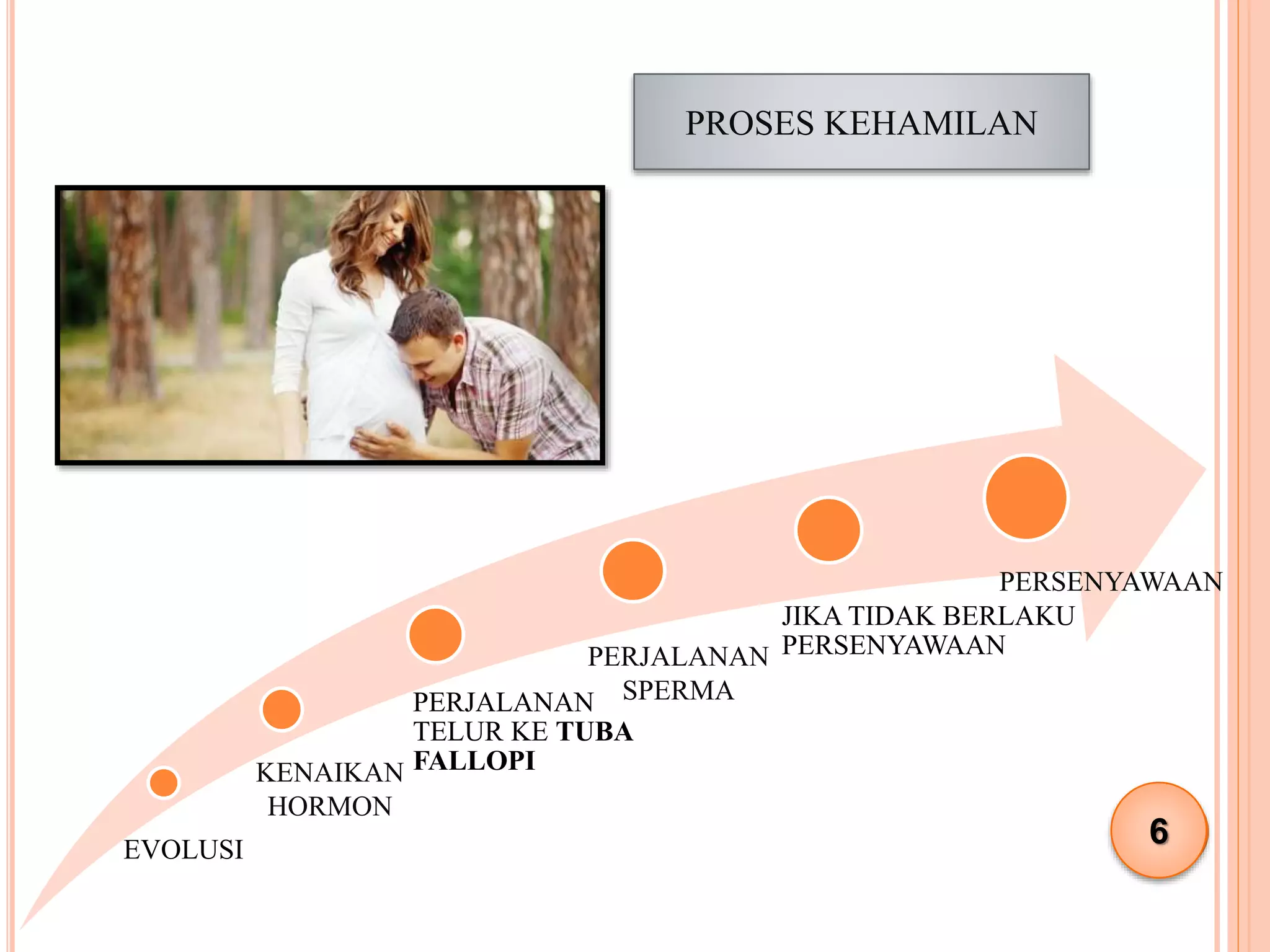 Proses Kehamilan & Perkembangan Janin, Bayi dan Kanak-kanak | PPTX