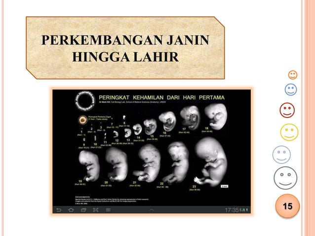 Proses Kehamilan & Perkembangan Janin, Bayi dan Kanak-kanak | PPTX