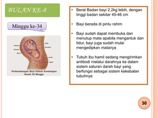 Proses Kehamilan & Perkembangan Janin, Bayi dan Kanak-kanak | PPTX