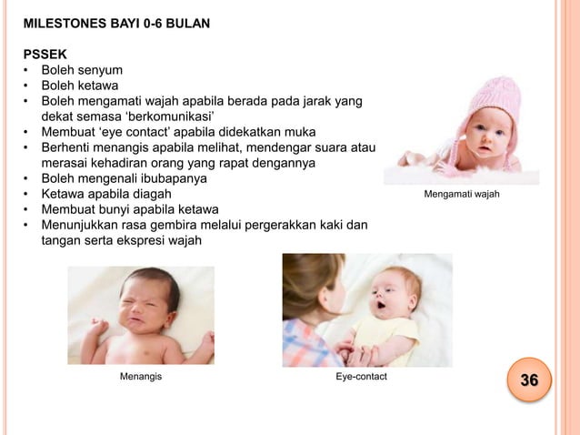 Proses Kehamilan & Perkembangan Janin, Bayi dan Kanak-kanak | PPTX