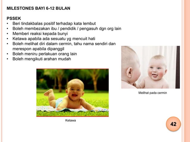 Proses Kehamilan & Perkembangan Janin, Bayi dan Kanak-kanak | PPTX