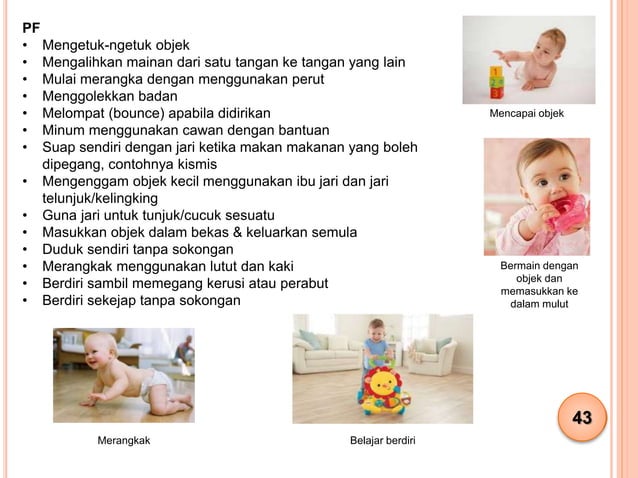 Proses Kehamilan & Perkembangan Janin, Bayi dan Kanak-kanak | PPTX