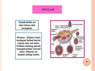 Proses Kehamilan & Perkembangan Janin, Bayi dan Kanak-kanak | PPTX