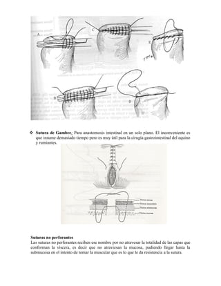 Cuadernillo de suturas (walter, alfred, mau) terminado | PDF