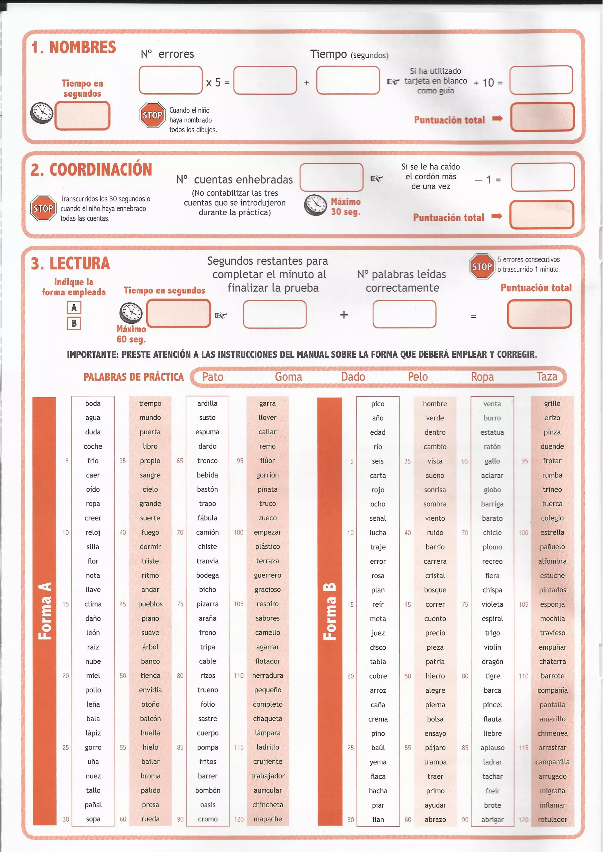 Cuadernillo dst j | PDF