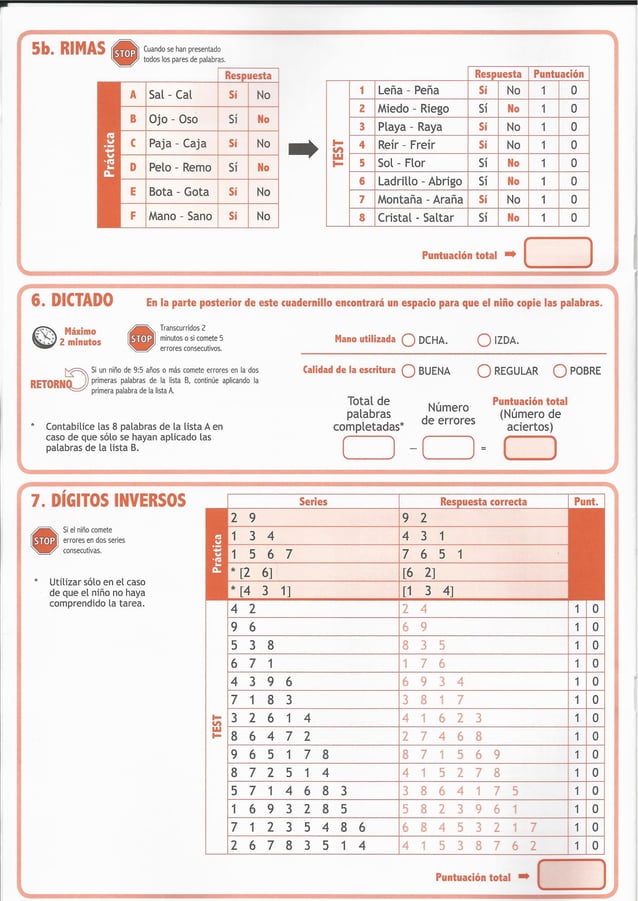 Cuadernillo dst j | PDF