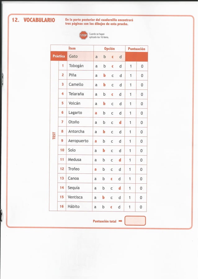 Cuadernillo dst j | PDF
