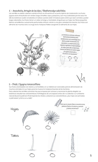Cuaderno de campo. Botánica. Ciencias naturales.pdf
