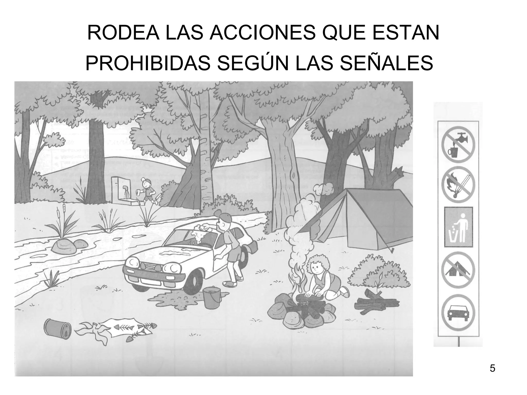 Cuaderno de naturaleza infantil | PPT