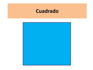 Cuadrado | PPTX
