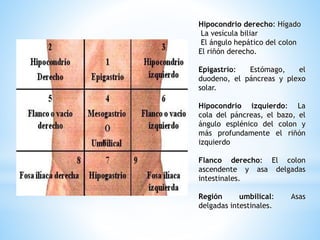 Cuadrantesycavidades | PPTX