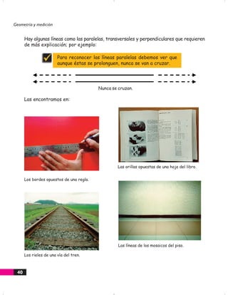 Cuadrilateros | PDF
