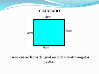 Cuadrilateros | PPTX