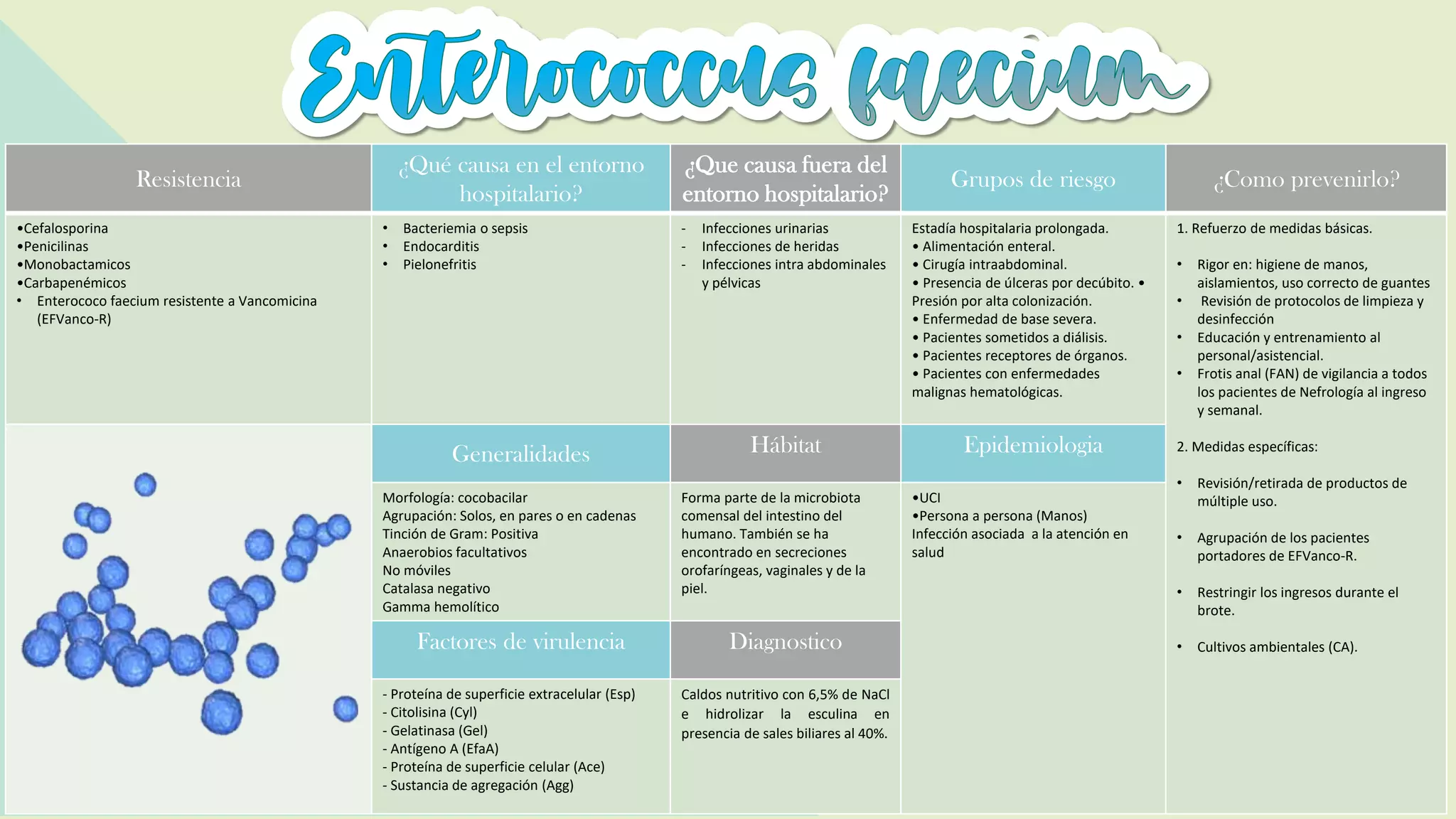 Microorganismos de importancia clinica | PPTX
