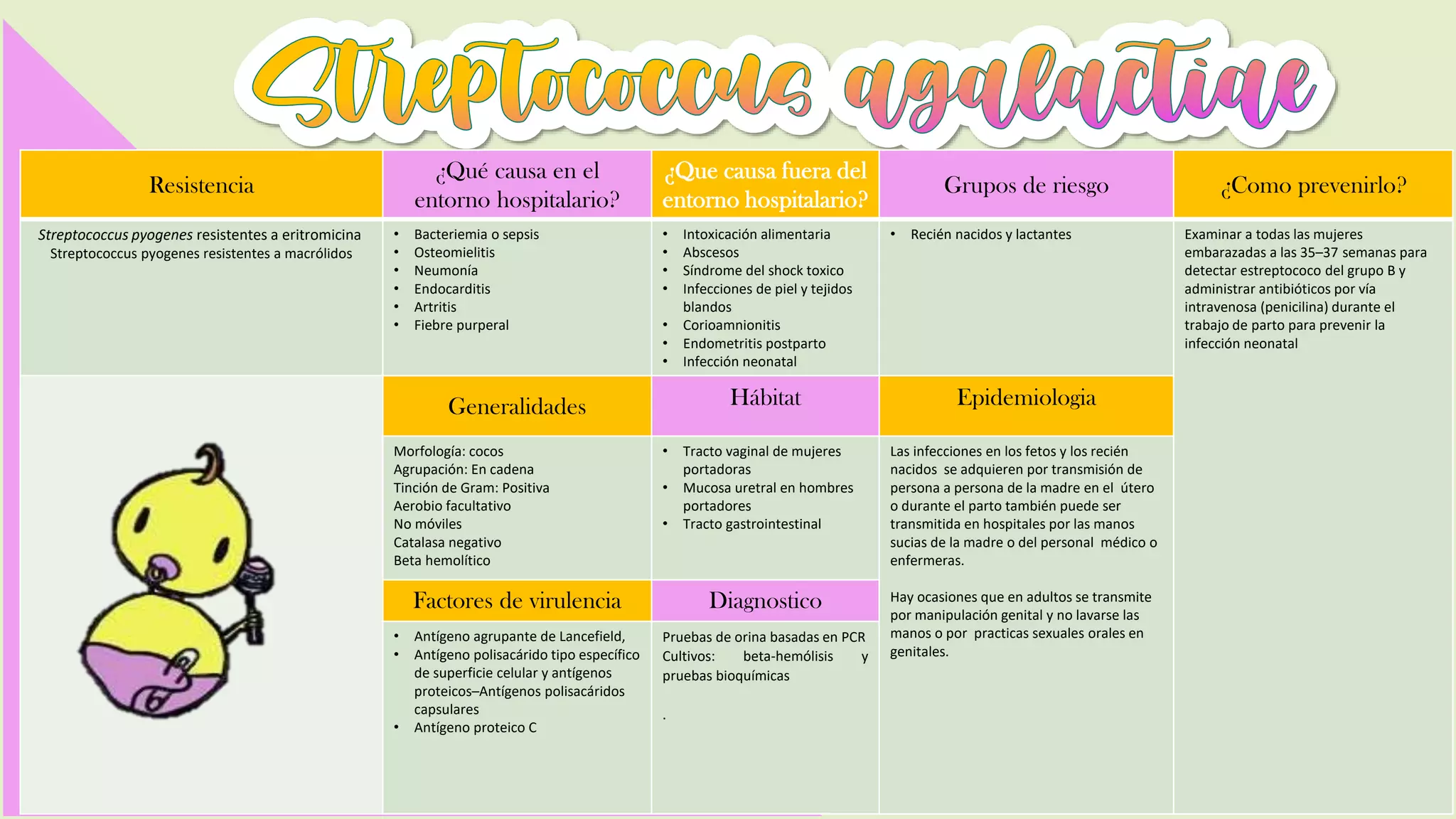 Microorganismos de importancia clinica | PPTX