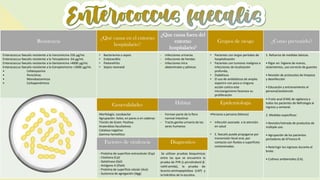 Microorganismos de importancia clinica | PPTX