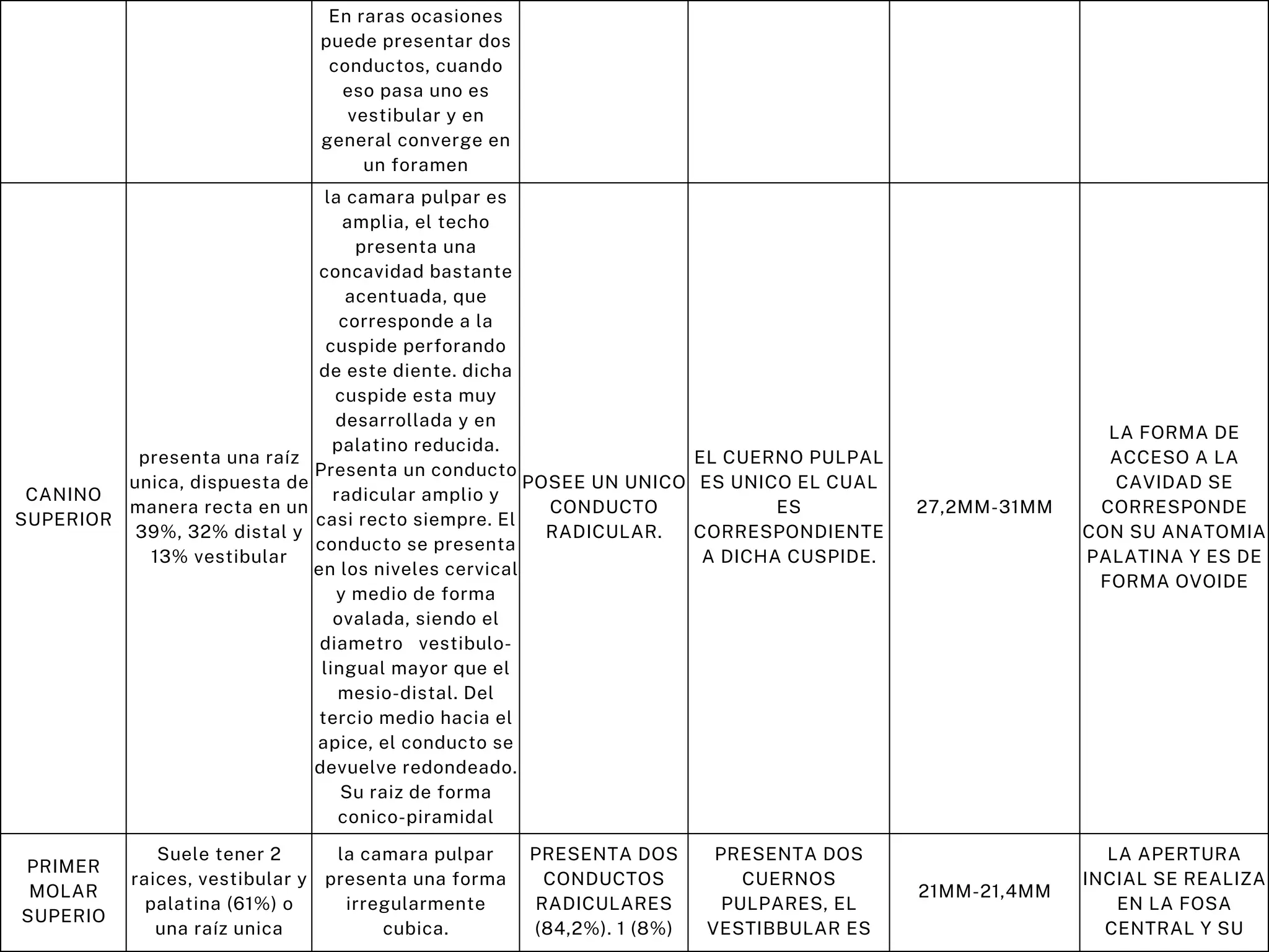 cuadro comparativo de anatomía radicular endodoncia .pdf