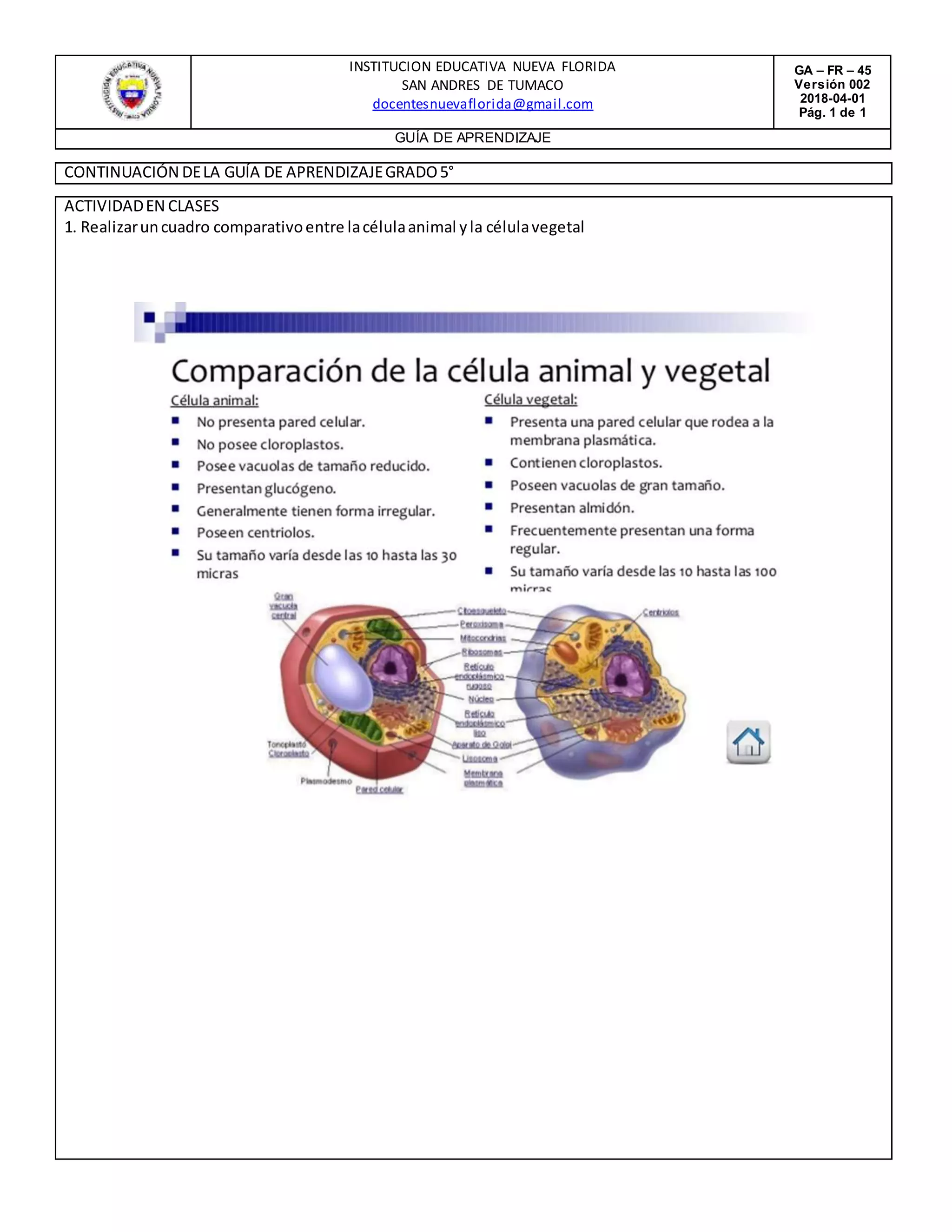 Cuadro comparativo celula animal y vegetal | DOCX
