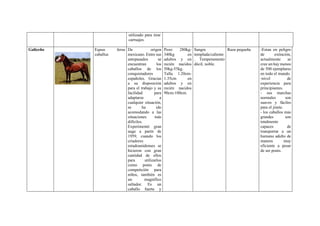 Cuadro comparativo razas equinas.pdf
