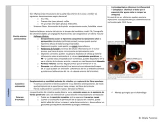 Cuadro de traumatismos oculares enfocado | PDF