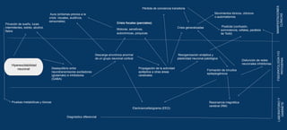 Cuadro fisiopatologico epilepsia.ppt.udgx