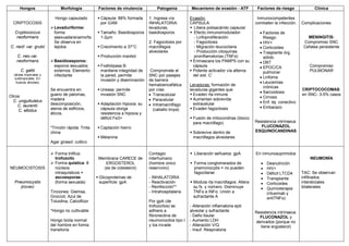Cuadro hongos.pdf