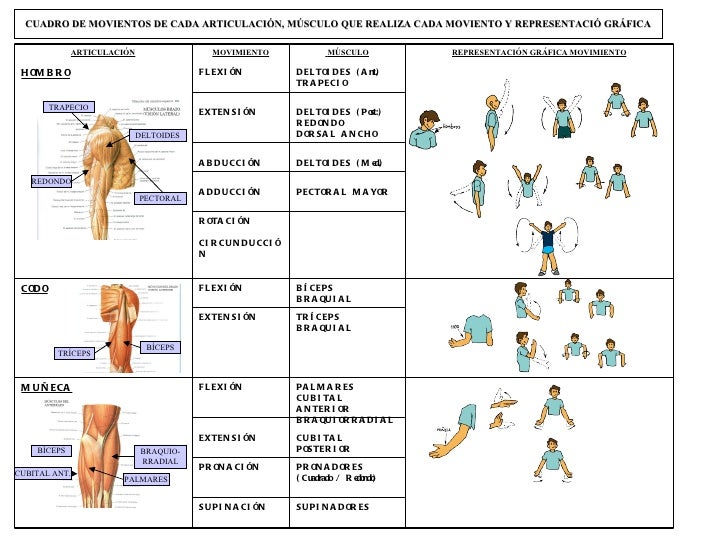 Cuadro movimientos articulares